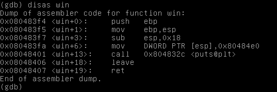 Learn Buffer Overflows through Visuals | Lightfoot Labs